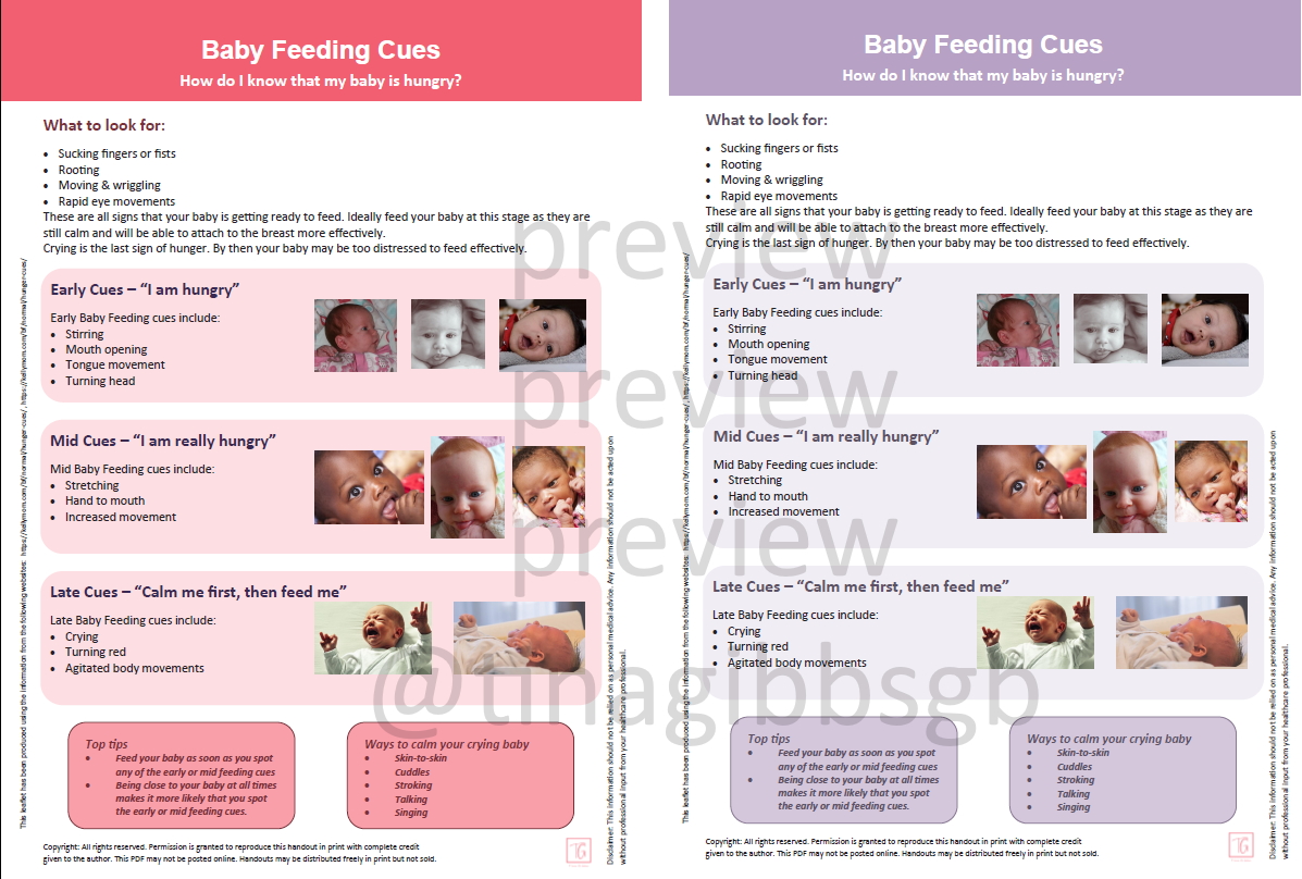 Baby feeding cues handout or baby hunger cues handout - Tina Gibbs