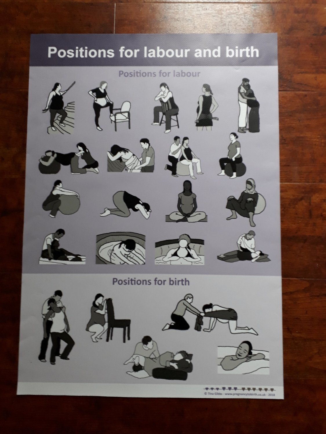 Positions for Labour & Childbirth - Poster - Tina Gibbs