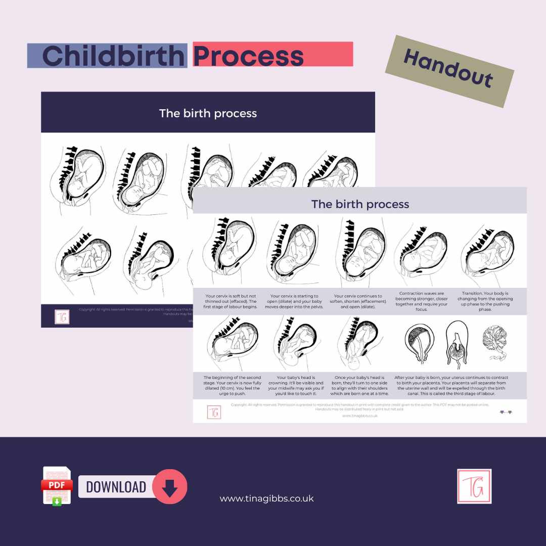 The Childbirth Process Handout (pdf) - Tina Gibbs