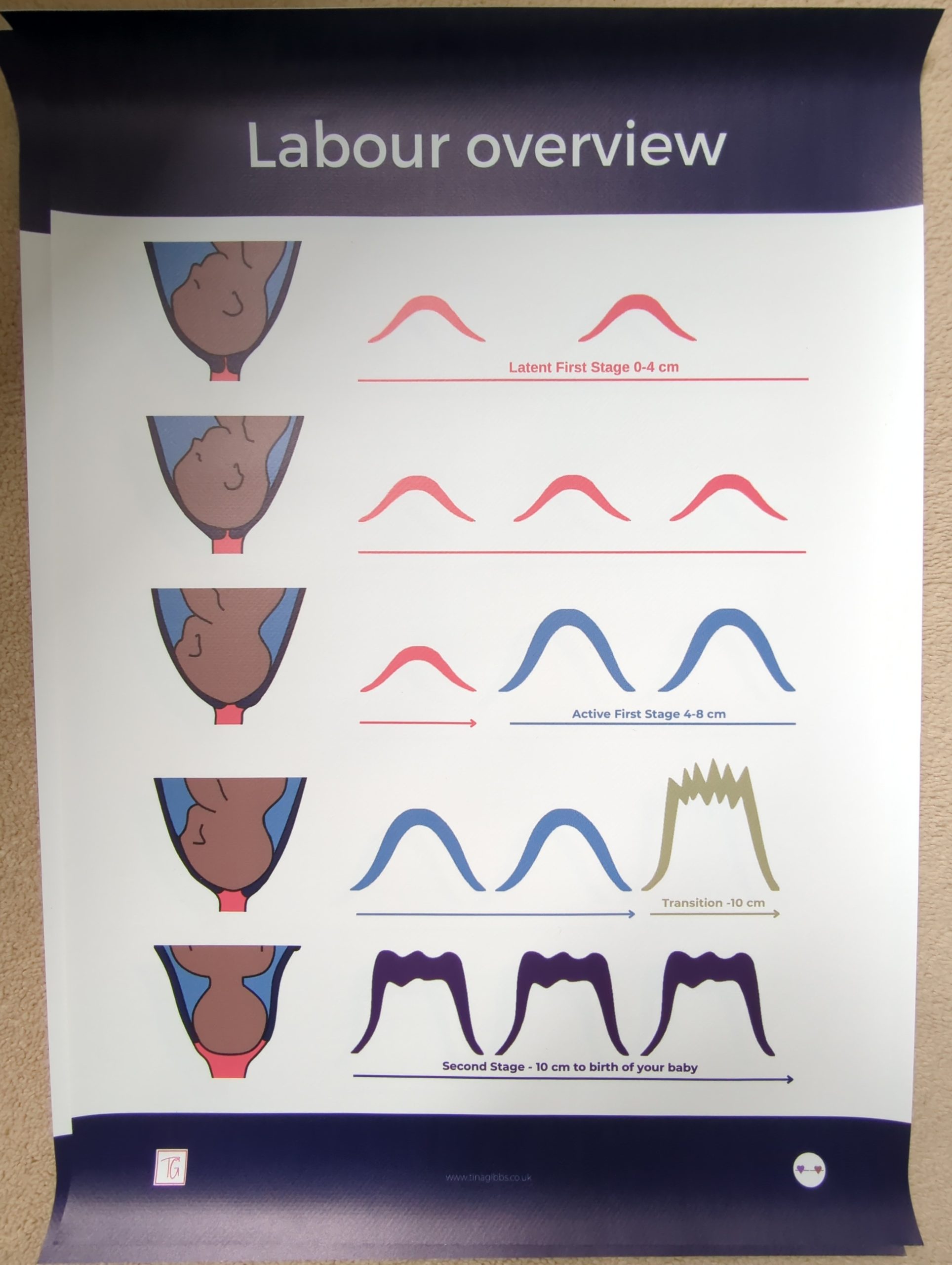 Labour Overview A2 poster - Tina Gibbs - perinatal education