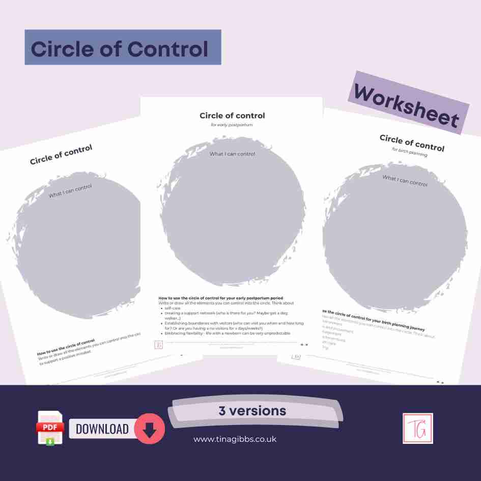 Circle of Control Worksheet (pdf) - Tina Gibbs